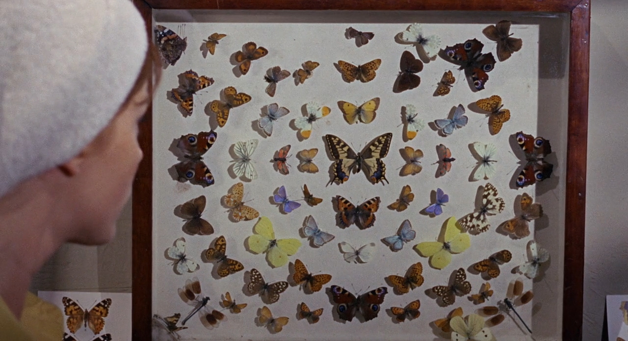 Colectionarul – {recenzie} – Analogii – Antologii